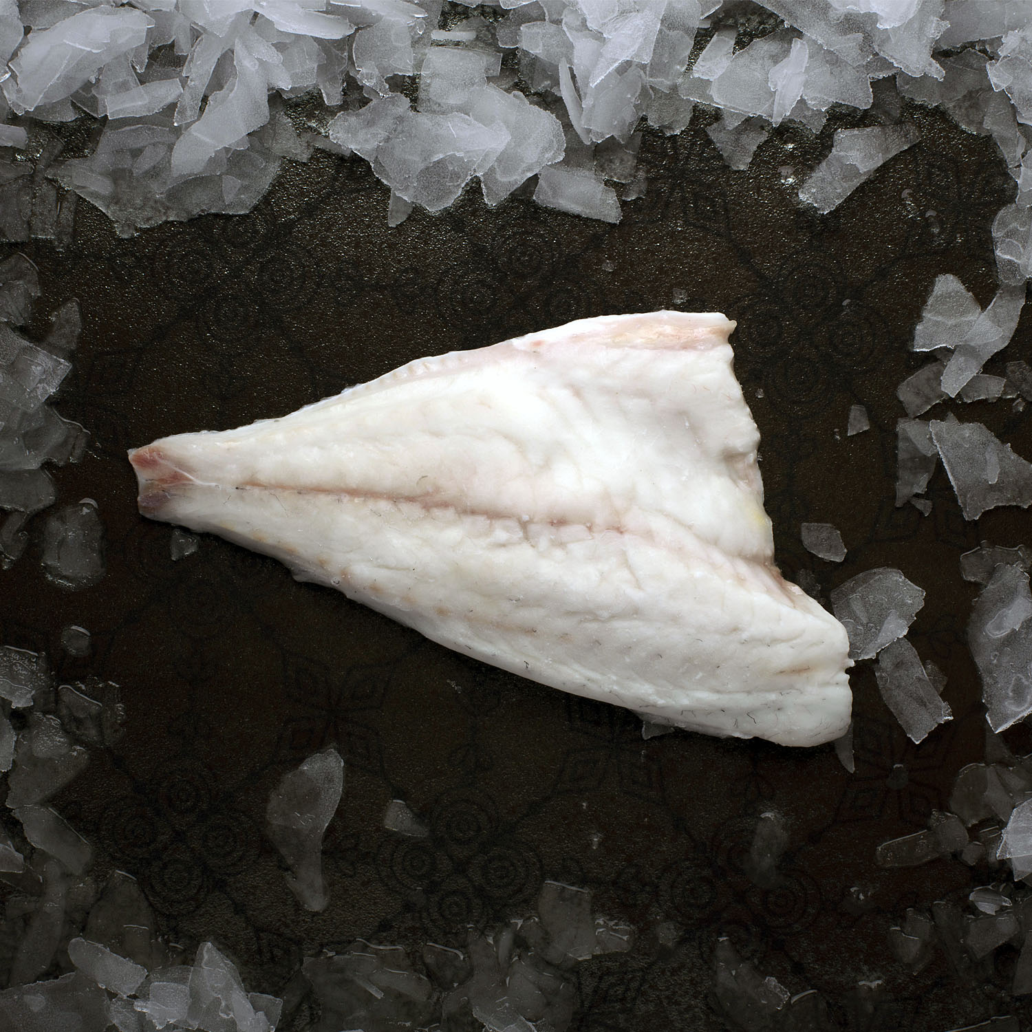 Sea Bream | Sparus Aurata | Fresh / Frozen