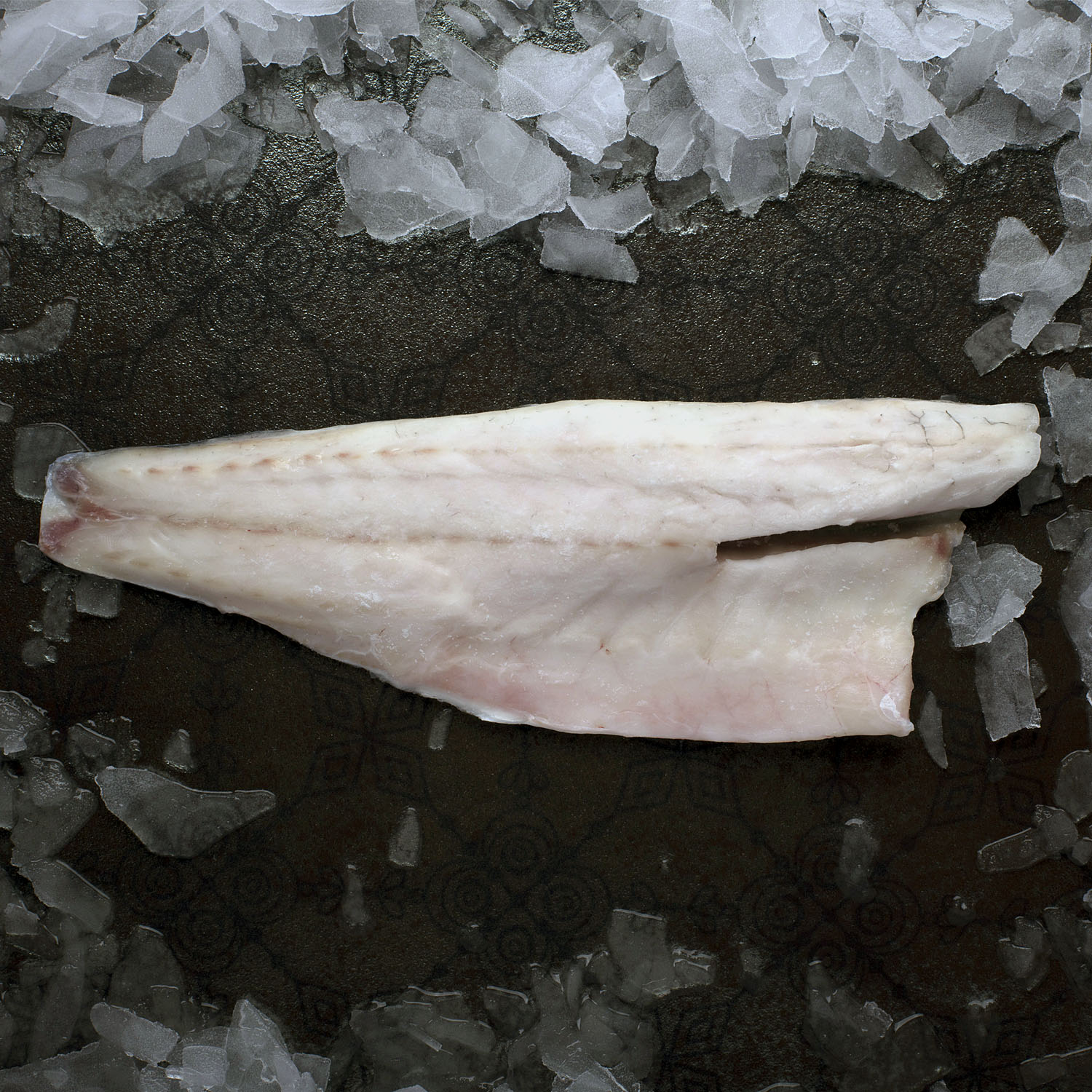 Tumay Group - Frozen Fillet Sea Bass - Dicentrarchus Labrax