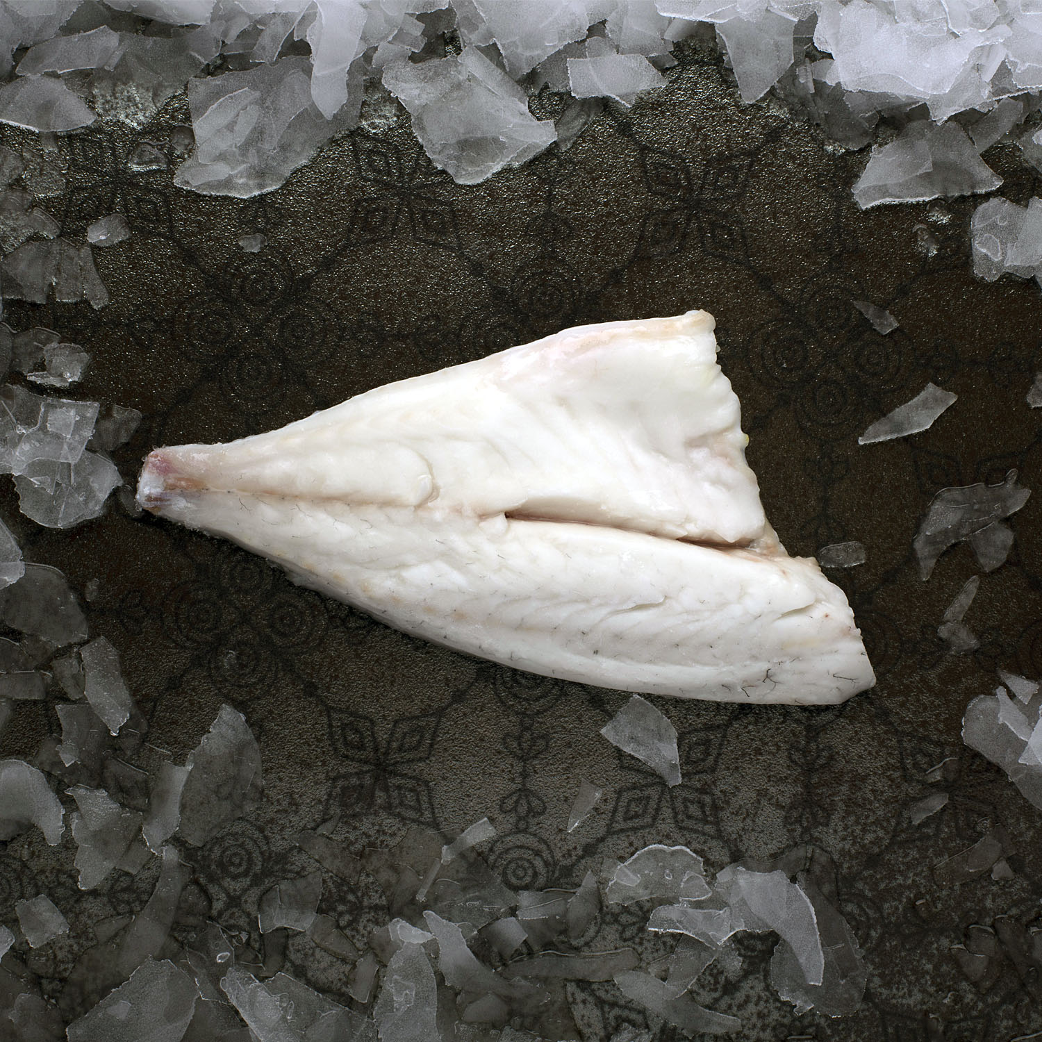 Sea Bream | Sparus Aurata | Fresh / Frozen
