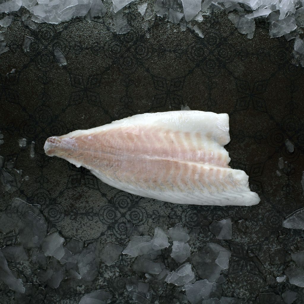 Sea Bream | Sparus Aurata | Fresh / Frozen