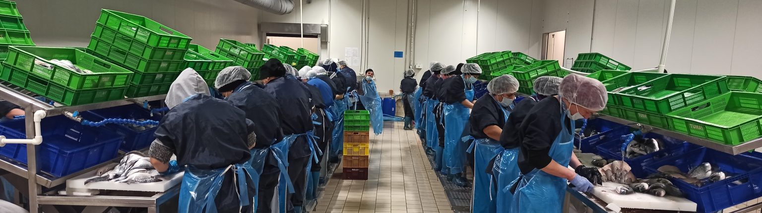 Tumay Group's certificates | Globl GAP | ASC | BRC | IFS